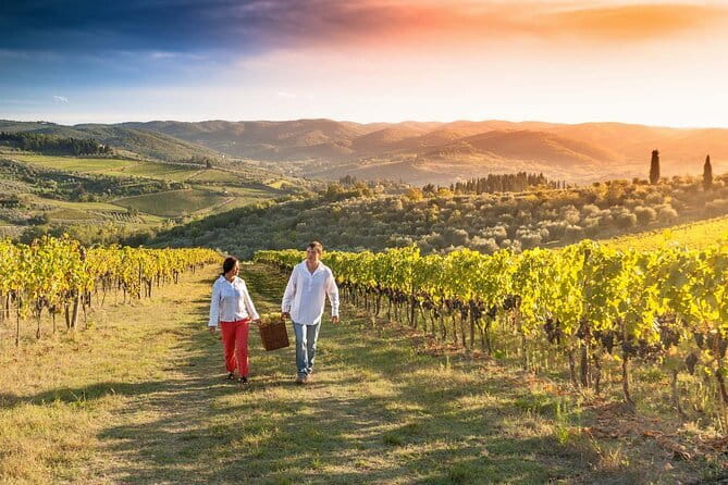Grape Stomping and Wine Tasting in Tuscany - Final Thoughts