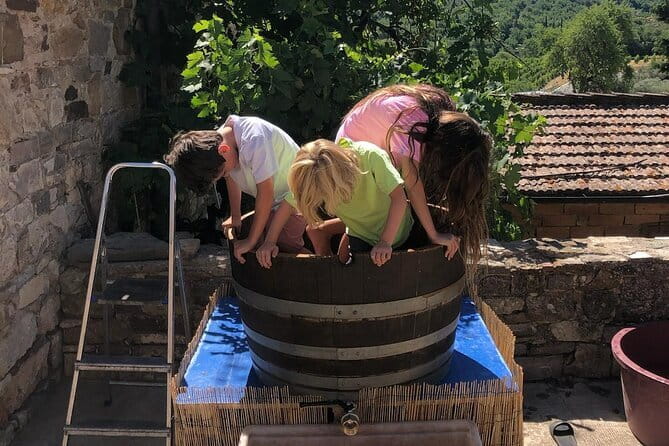 Grape Stomping Experience and Wine Tasting - What the Reviews Say