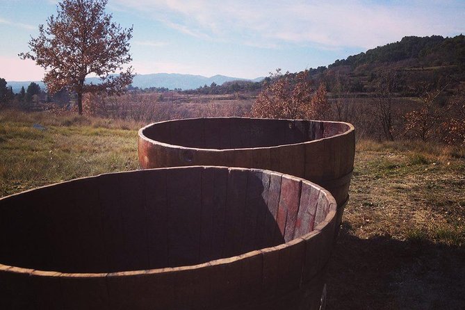 Grape Stomping in Provence - Overview of the Experience