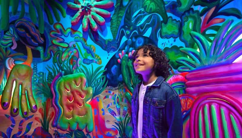 Grapevine: Meow Wolf The Real Unreal Ticket - The Experience for Visitors: Pros and Cons