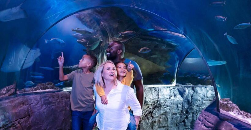 Grapevine: SEA LIFE Grapevine Aquarium General Admission - Practical Tips for Visiting