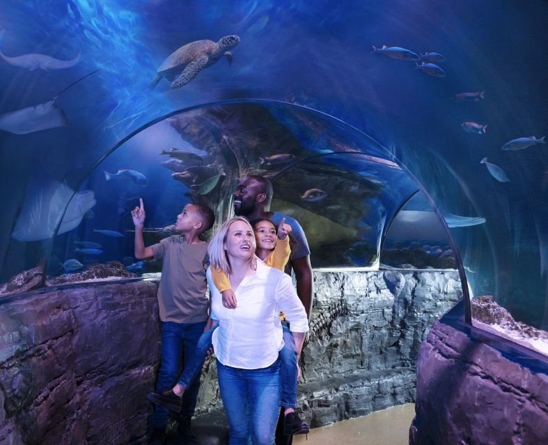 Grapevine: SEA LIFE Grapevine Aquarium General Admission - Final Thoughts: Is It Worth It?
