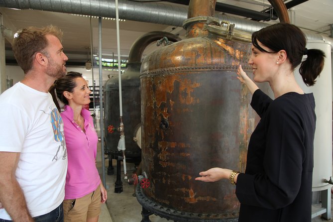 Grasse, Gourdon, Valbonne and Wine Tasting Full-Day From Nice Small-Group Tour - Itinerary Highlights