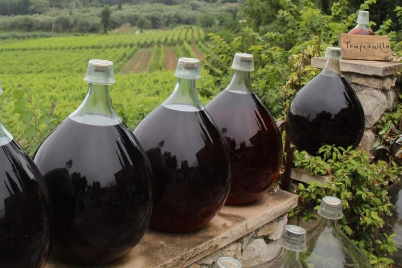 Grasse, Valbonne & Gourdon: Day Tour with Wine Tasting - FAQ