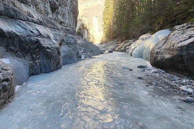 Grassi Lake and Grotto Canyon Small Group Half-Day Tour in Banff - Who Will Love This Tour?