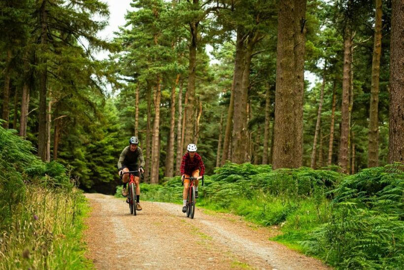 Gravel Bike Ride Dublin - A Closer Look at the Gravel Bike Dublin Experience