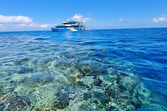 Great Barrier Reef and MOUA Snorkeling Day Tour from Townsville - Potential Drawbacks and Considerations