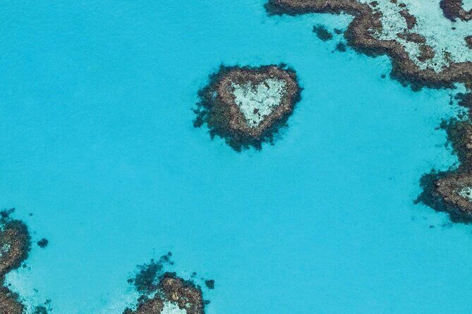 Great Barrier Reef and Whitsunday Islands Tour - Key Points