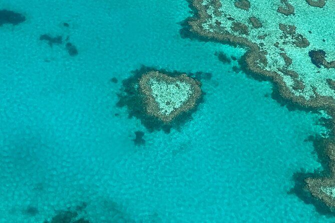 Great Barrier Reef and Whitsunday Islands Tour - An Overview of the Tour