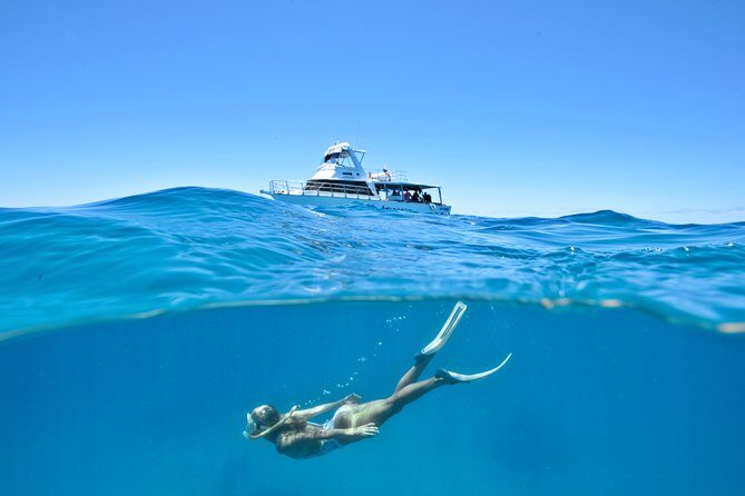 Great Barrier Reef Cruise from Townsville or Magnetic Island - A Practical Look at the Great Barrier Reef Cruise from Townsville or Magnetic Island