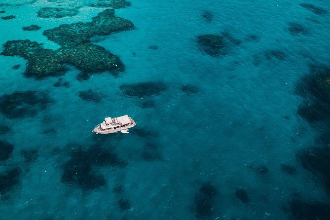 Great Barrier Reef Cruise from Townsville or Magnetic Island - Key Points