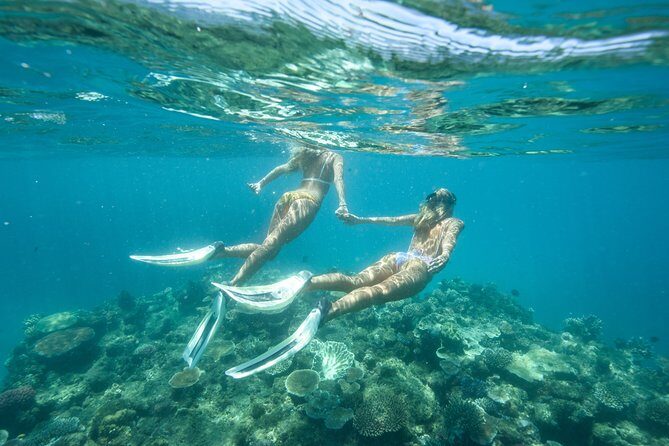 Great Barrier Reef Cruise from Townsville or Magnetic Island - The Sum Up