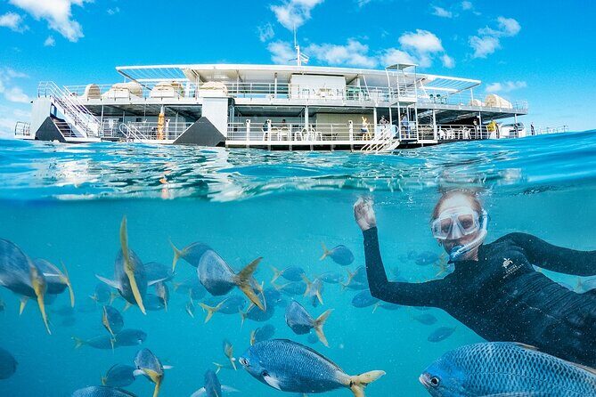 Great Barrier Reef Full Day Adventure - The Itinerary in Detail