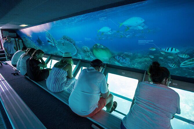 Great Barrier Reef Full Day Adventure - Analyzing the Value