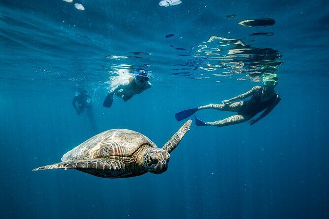 Great Barrier Reef Full Day Adventure - Who Will Love This Tour?