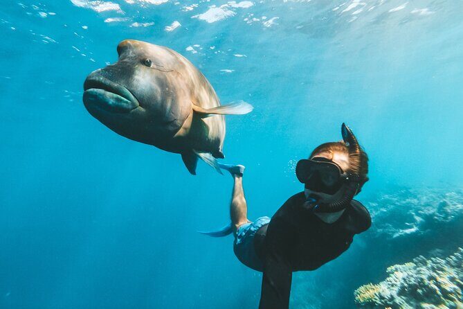 Great Barrier Reef Full Day Adventure - Final Thoughts