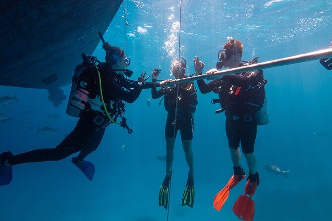 Great Barrier Reef Full Day Tour from Cairns - FAQ (Frequently Asked Questions)