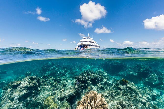 Great Barrier Reef Snorkeling and Diving Cruise from Cairns - Exploring the Great Barrier Reef: A Practical Review of the Cairns Snorkeling & Diving Cruise