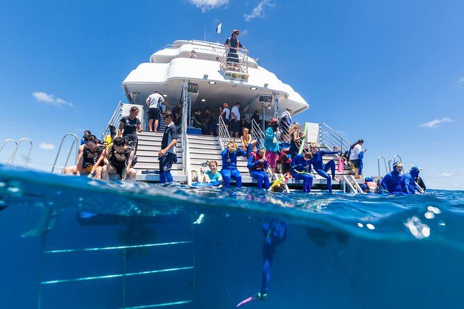 Great Barrier Reef Snorkeling and Diving Cruise from Cairns - The Itinerary: A Day in Reef Paradise