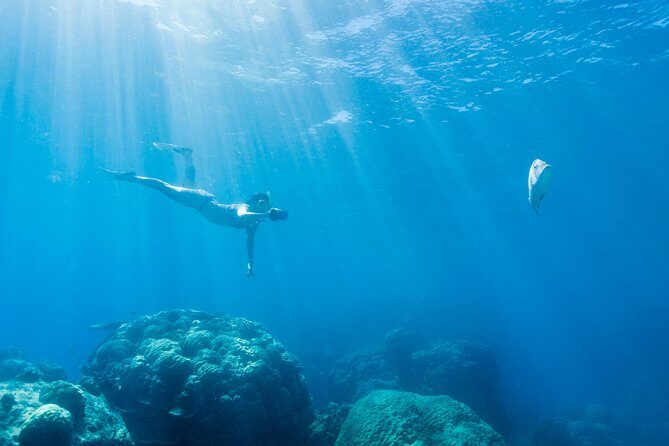 Great Barrier Reef Snorkeling and Diving Cruise from Cairns - Final Thoughts