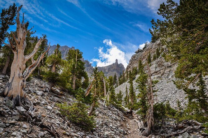 Great Basin National Park Self-Guided Audio Tour - Practical Considerations and Tips