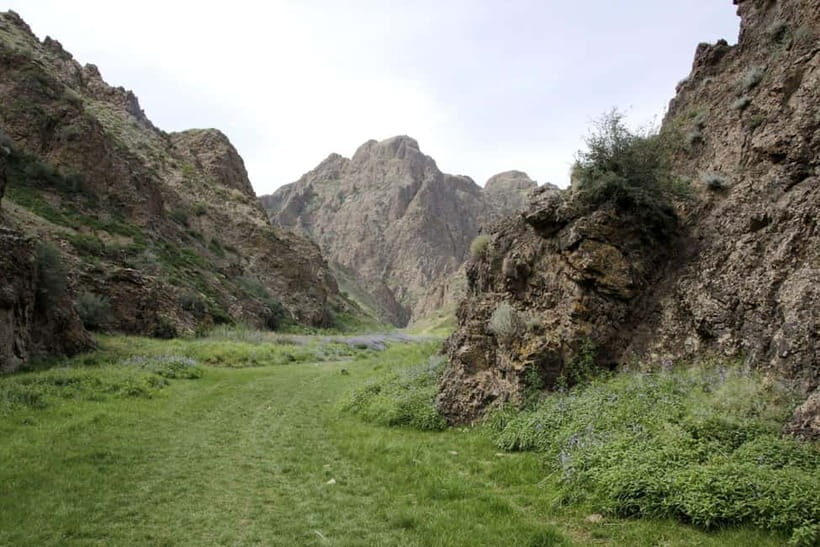 Great Gobi 7 Days Tented Tour - The Practical Side: What’s Included and What’s Not
