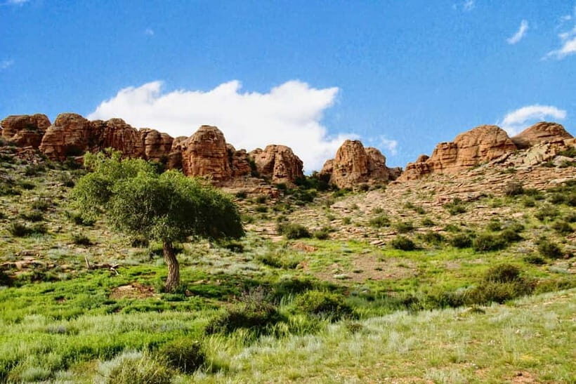 Great Gobi to Khuvsgul Lake 16 Days Tour - Key Points