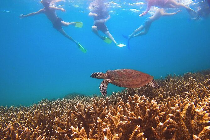 Great Keppel Island Day Trip with Lunch - A Closer Look at the Great Keppel Island Day Trip