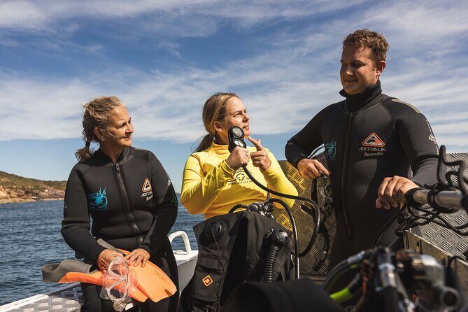 Great Keppel Island PADI Discover Scuba Dive with Keppel Dive - An In-Depth Look at the Keppel Dive Experience