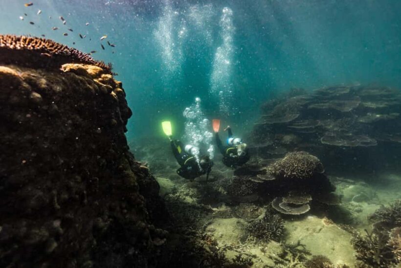 Great Keppel Island: PADI Discover SCUBA Diving - Why It’s Worth the Price