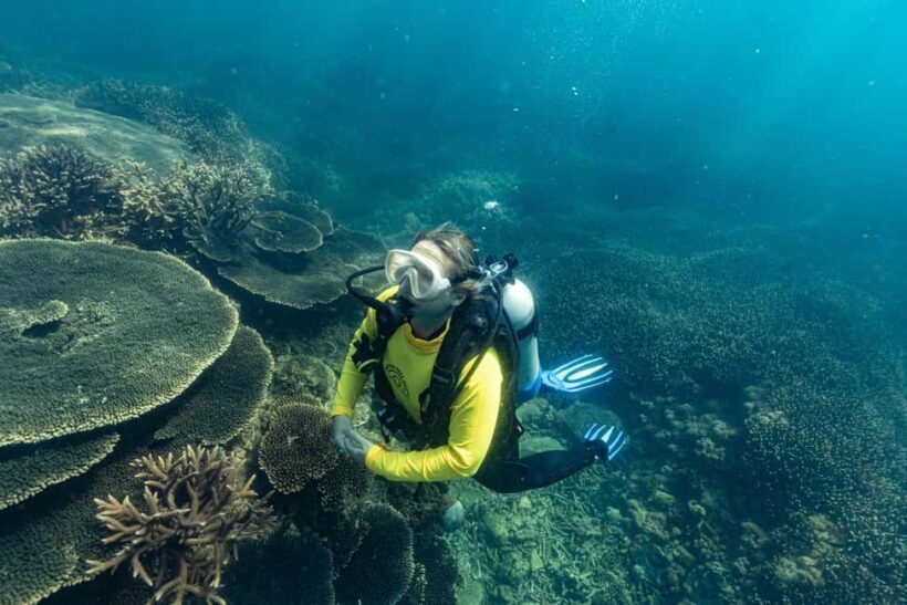 Great Keppel Island: PADI Discover SCUBA Diving - Final Thoughts: Is This Tour Worth It?