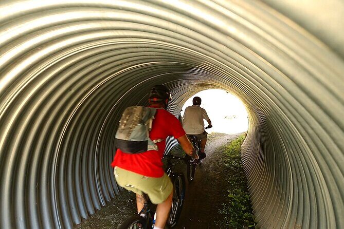 Great Lake Trail Lake Taupo 2-Day Mountain Biking Tour - A Deep Dive into the Tour Experience