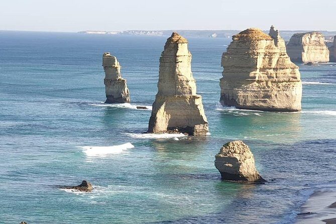Great Ocean Road 12 Apostles kangaroo & koala tour - Key Points
