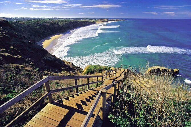 Great Ocean Road 12 apostles PRIVATE Luxury Tour Reverse all incl - Evaluating the Value