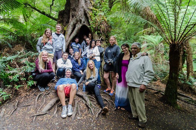 Great Ocean Road, 12 Apostles, Rainforest & Morning Tea-Melbourne - Final Thoughts: Who Will Love This Tour?