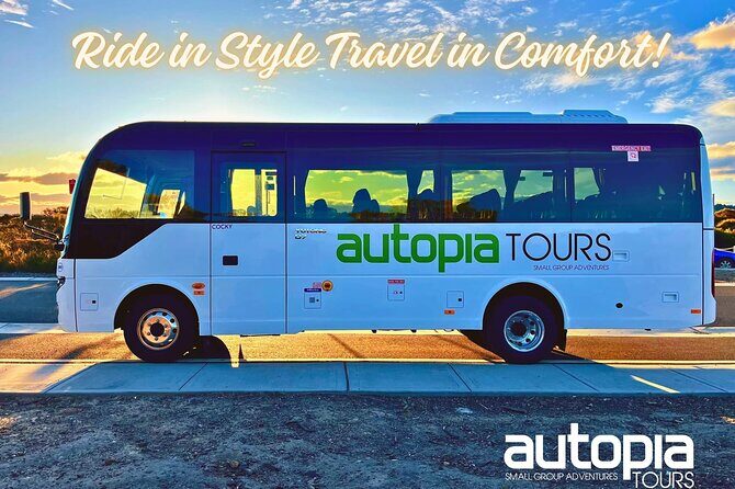 Great Ocean Road, 12 Apostles, Rainforest & Morning Tea-Melbourne - The Practical Side: Transportation, Timing, and Group Size