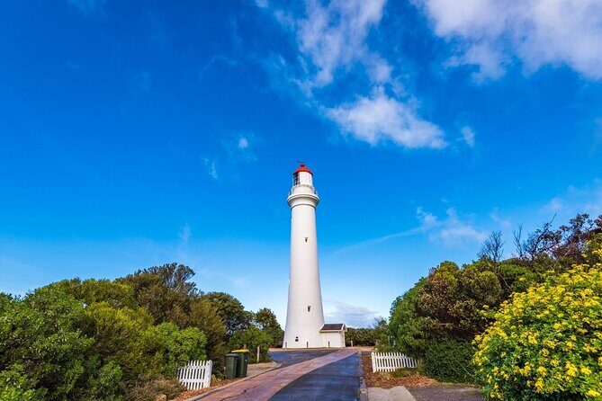 Great Ocean Road and 12 Apostles Tour - An In-Depth Look at the Tour
