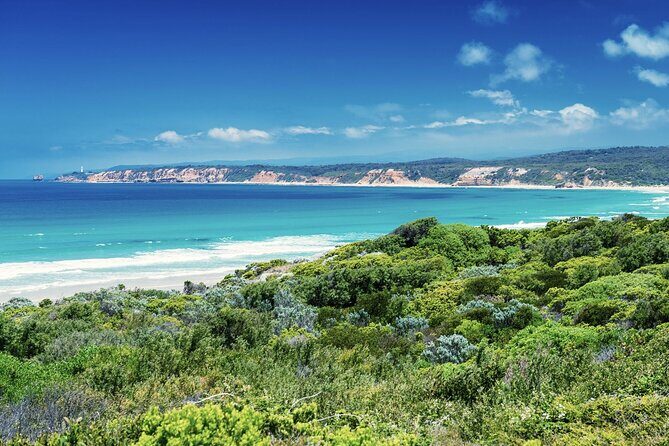 Great Ocean Road and 12 Apostles Tour - The Sum Up