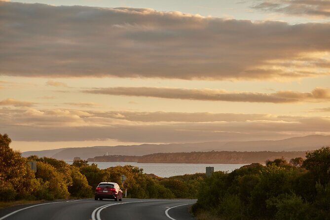 Great Ocean Road and 12 Apostles Tour - Introduction: What’s the Tour All About?