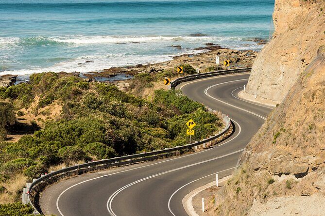 Great Ocean Road Coastal Spectcular with Wildlife Wonders - The Itinerary in Detail
