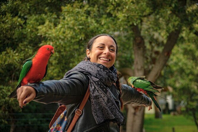 Great Ocean Road Full-Day Sunset Eco Tour from Melbourne - Who Will Love This Tour?