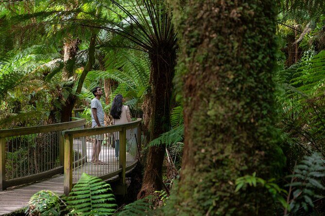 Great Ocean Road Grampians 3 Day National Park Tour Melbourne Roundtrip - Key Points