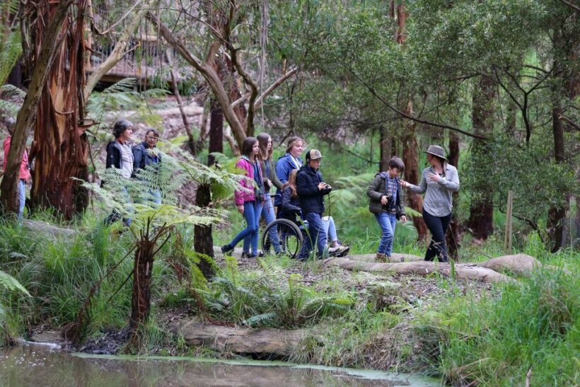 Great Ocean Road: Guided Wildlife Walk that Supports Nature - Who Will Appreciate This Tour?