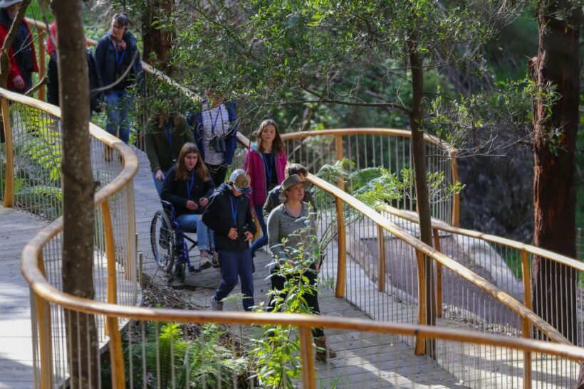 Great Ocean Road: Guided Wildlife Walk that Supports Nature - The Sum Up: Who Is This Tour Best For?