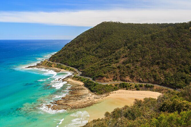 Great Ocean Road In 8 Hours Express Private Tour - What Makes This Tour Stand Out?