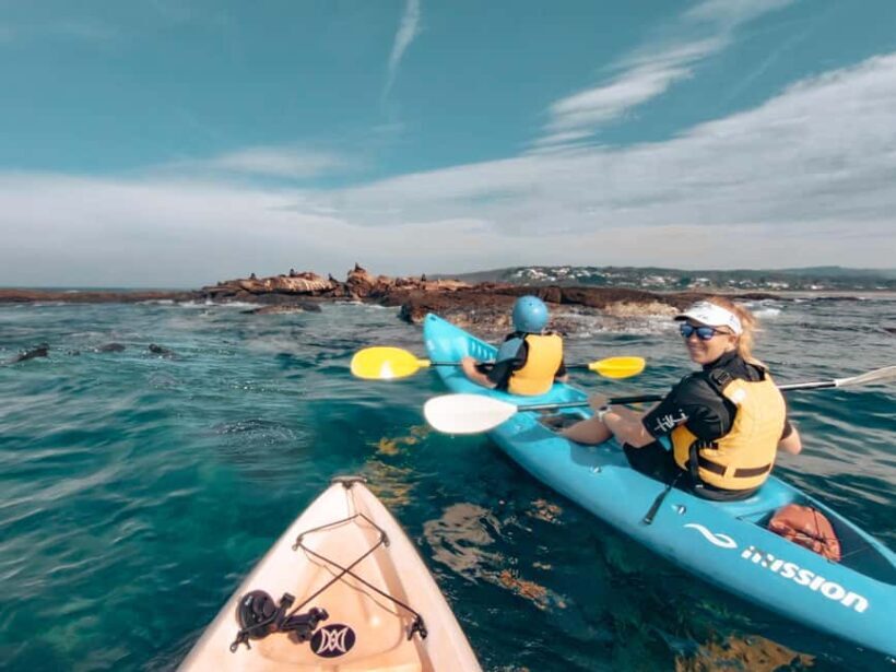 Great Ocean Road: Kayaking with Seals Tour - An Engaging Introduction to Marine Life and Coastal Views