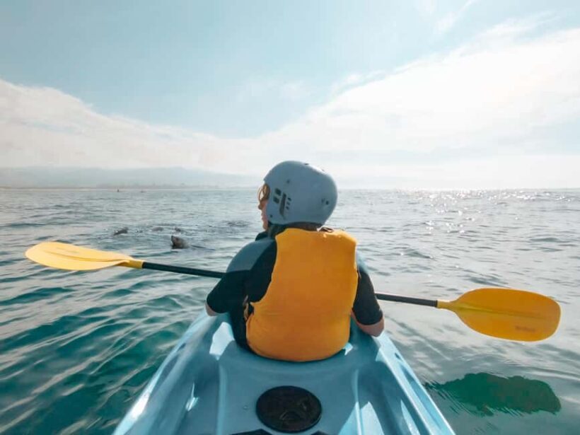 Great Ocean Road: Kayaking with Seals Tour - A Deep Dive into the Experience