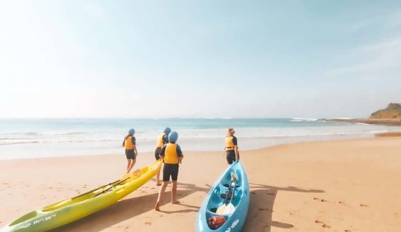 Great Ocean Road: Kayaking with Seals Tour - Who Should Book This Tour?