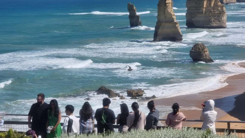 Great Ocean Road Luxury Tour with Pickup Options - The Value Proposition: Price, Comfort, and Experience