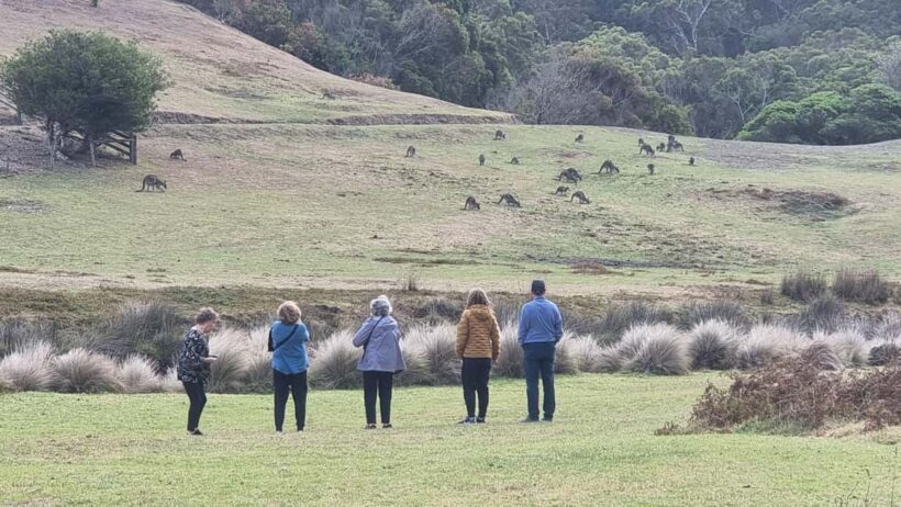 Great Ocean Road Luxury Tour with Pickup Options - FAQs